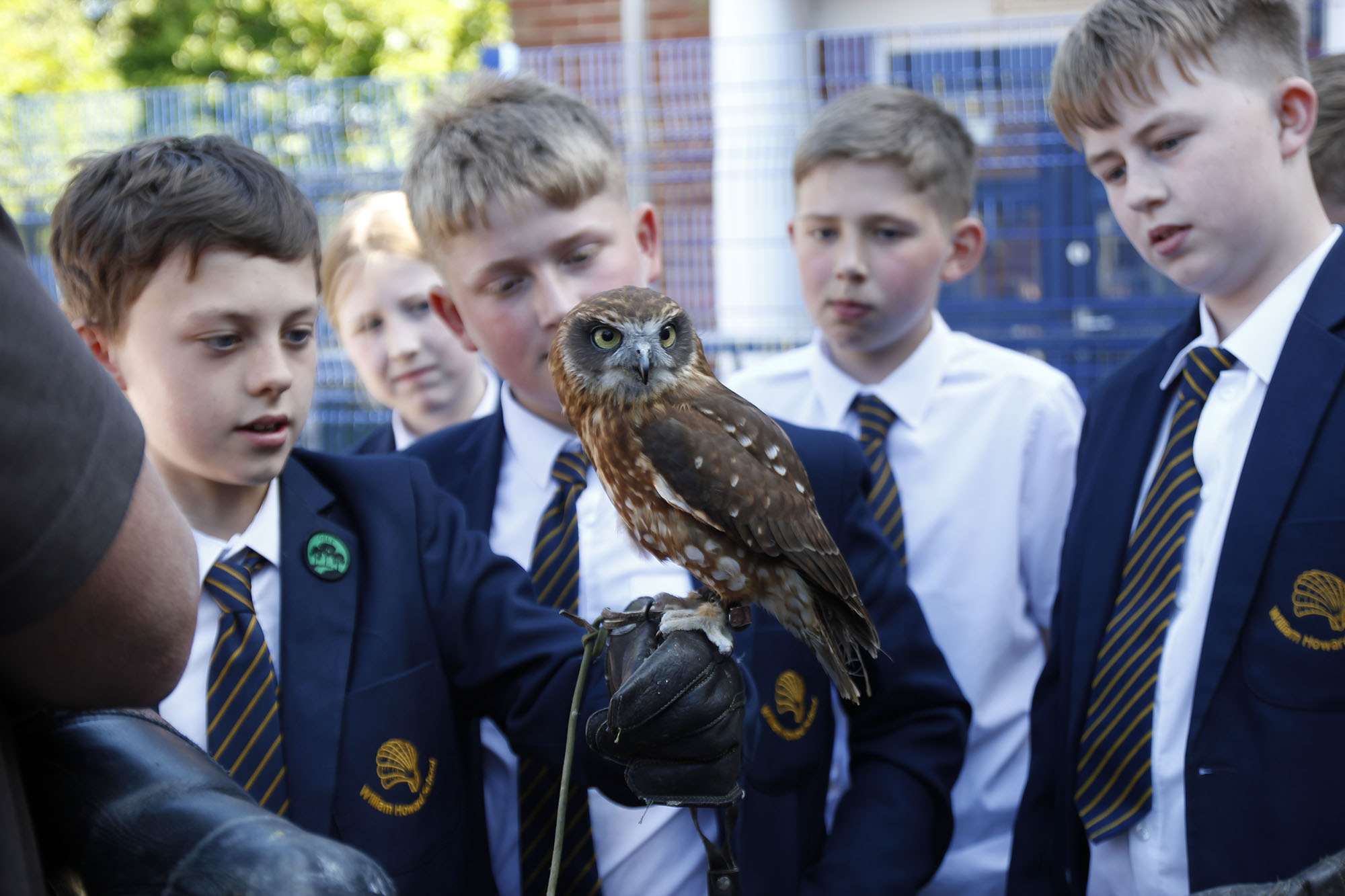 Students Gripped by Birds of Prey - William Howard School