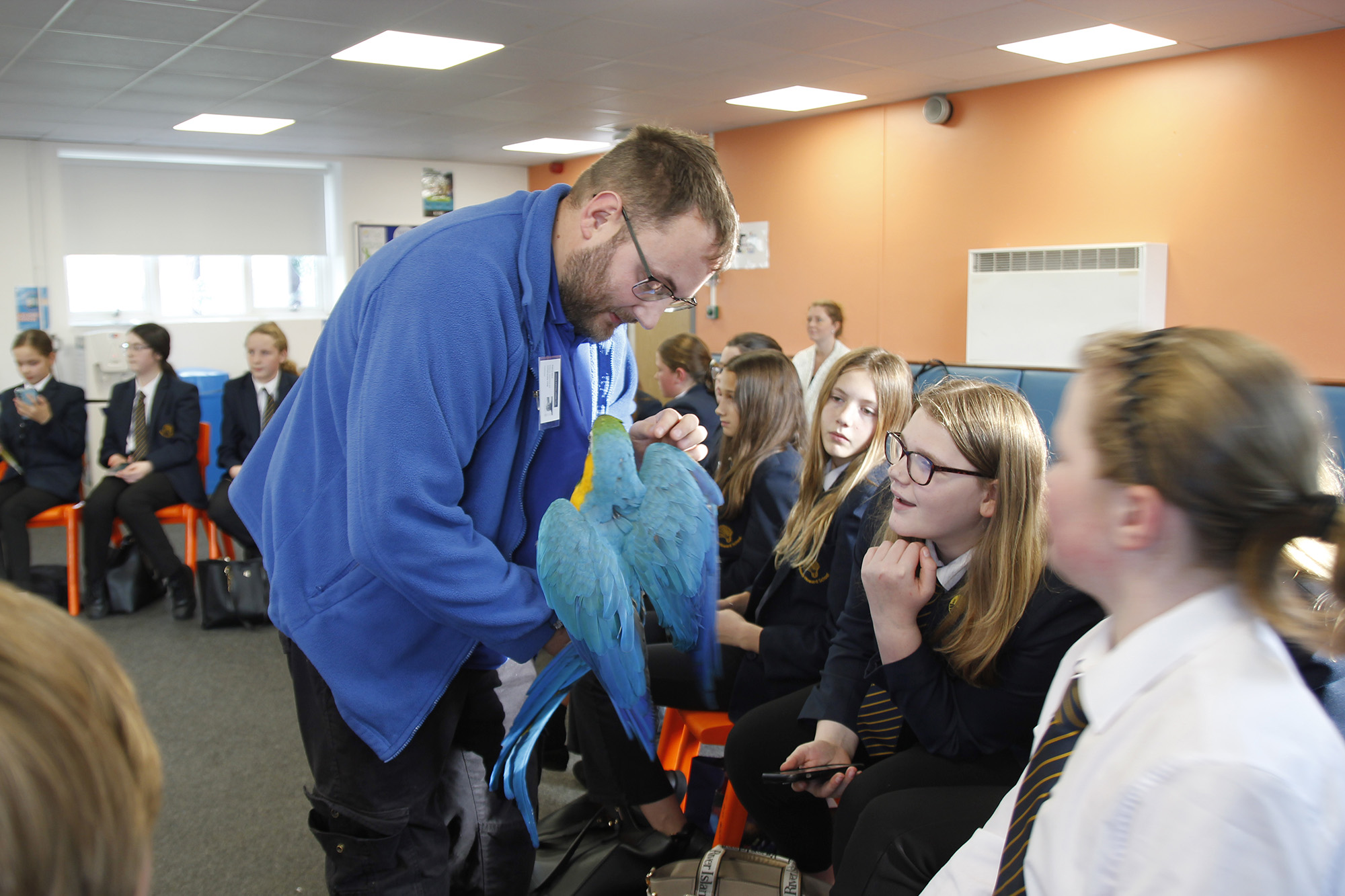 Bird Encounters - William Howard School